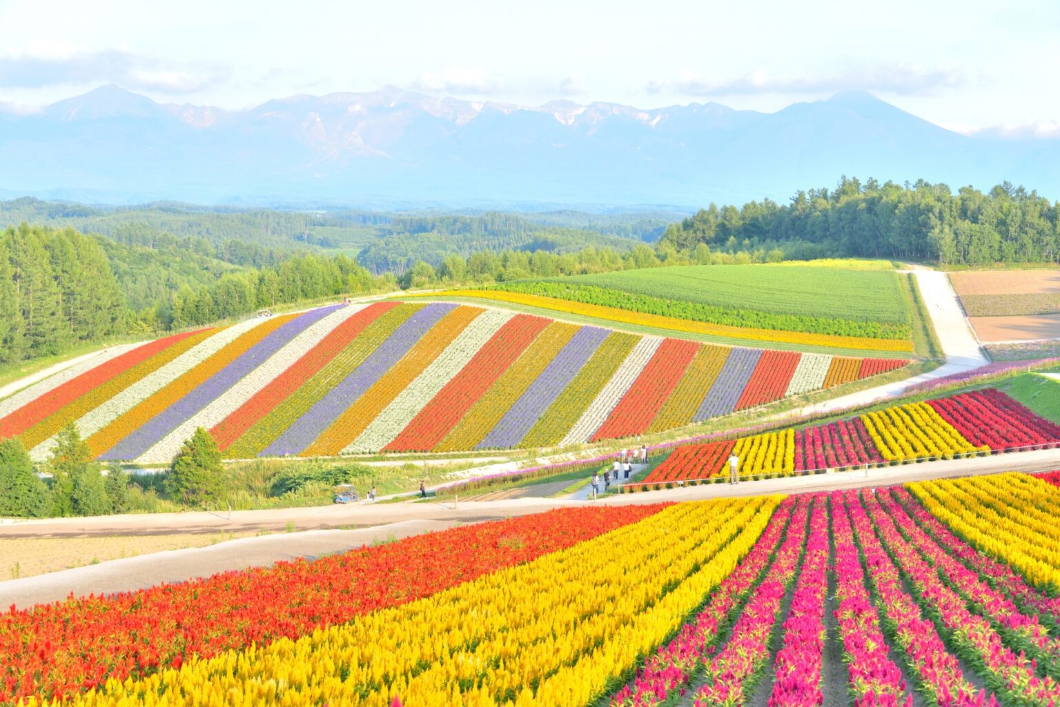 5 Day Hokkaido Itinerary | Japan Wonder Travel Blog