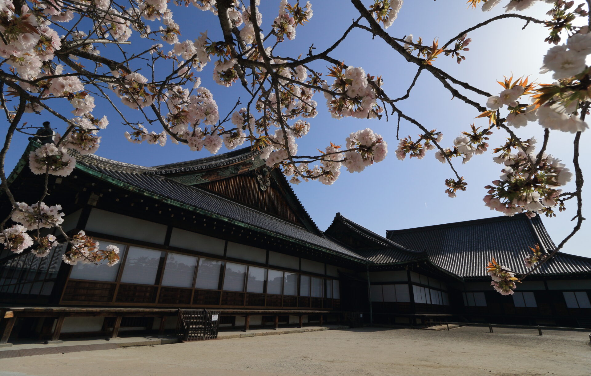 10 Things to Do in Kyoto in Spring | Japan Wonder Travel Blog