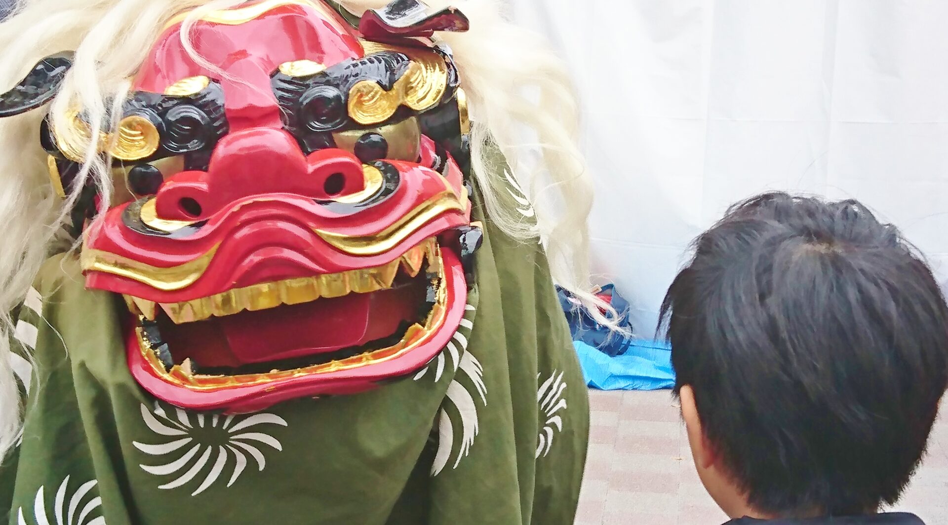 10 Festivals in Japan in March | Japan Wonder Travel Blog