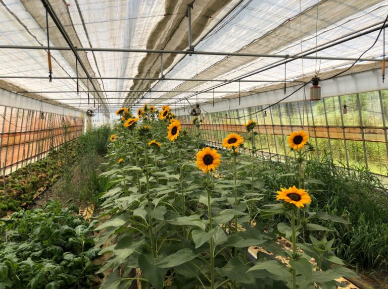 Fukushima Exclusion Zone 2-Day Tour: Is it safe to visit in 2024 ...