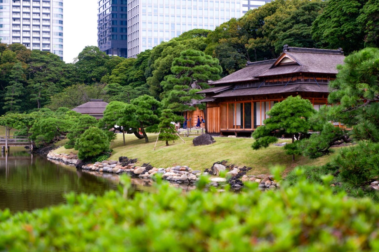 10 Best Photo Spots in Tokyo | Japan Wonder Travel Blog