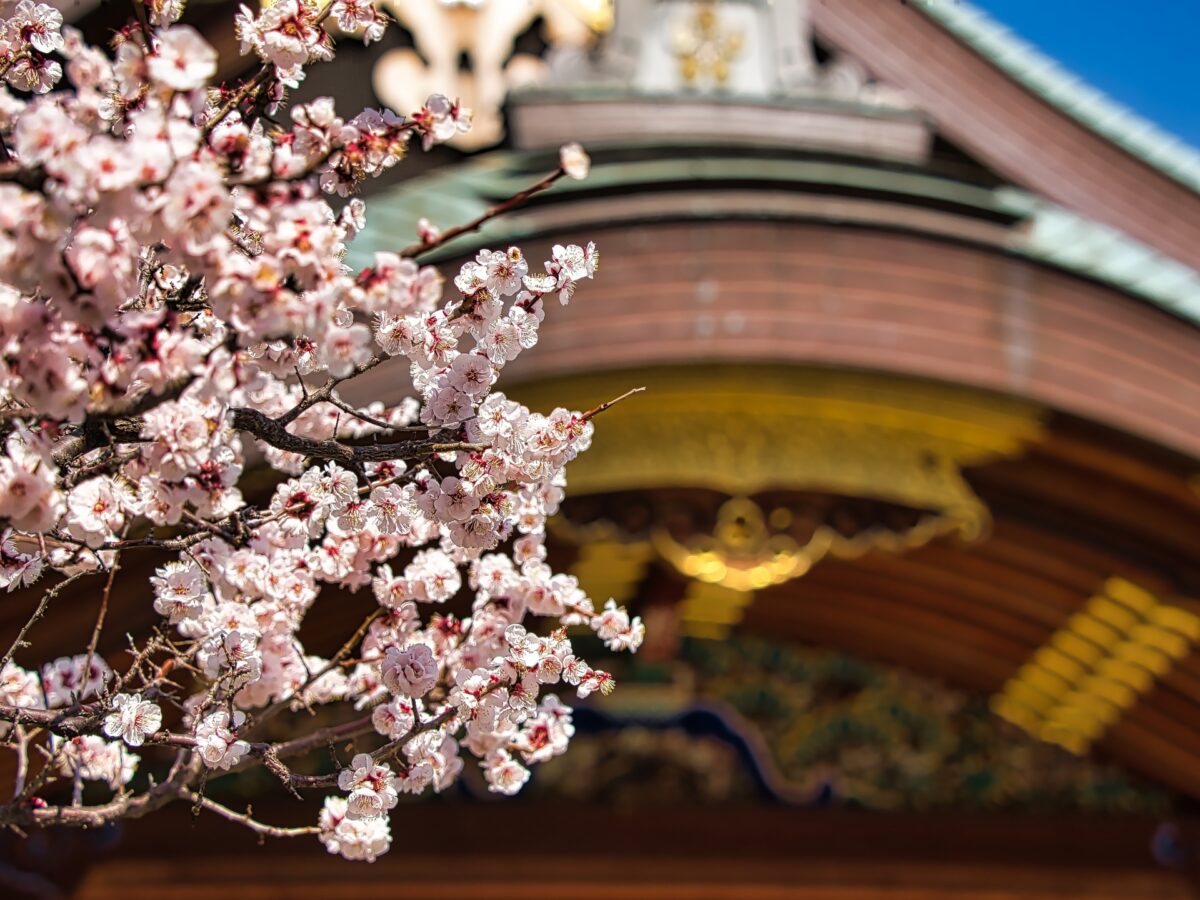 10 Events and Things to Do in Tokyo in February | Japan Wonder Travel Blog