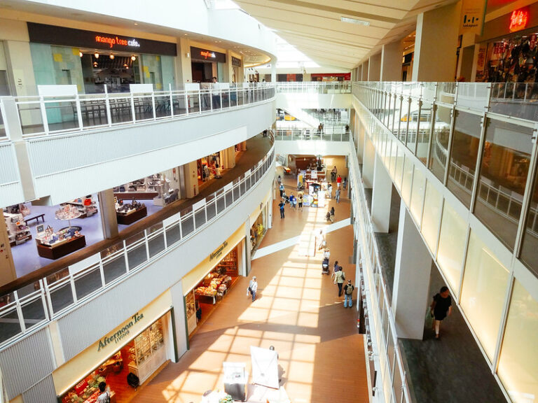 10 Exciting Things To Do in The Toyosu Area | Japan Wonder Travel Blog