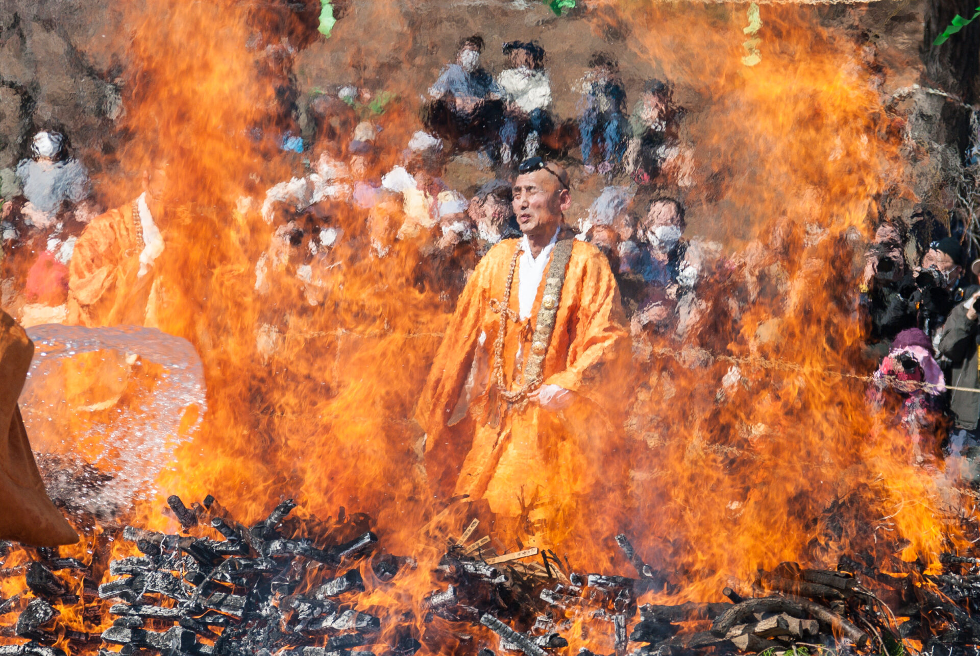 10 Events and Things to do in Tokyo in March | Japan Wonder Travel Blog