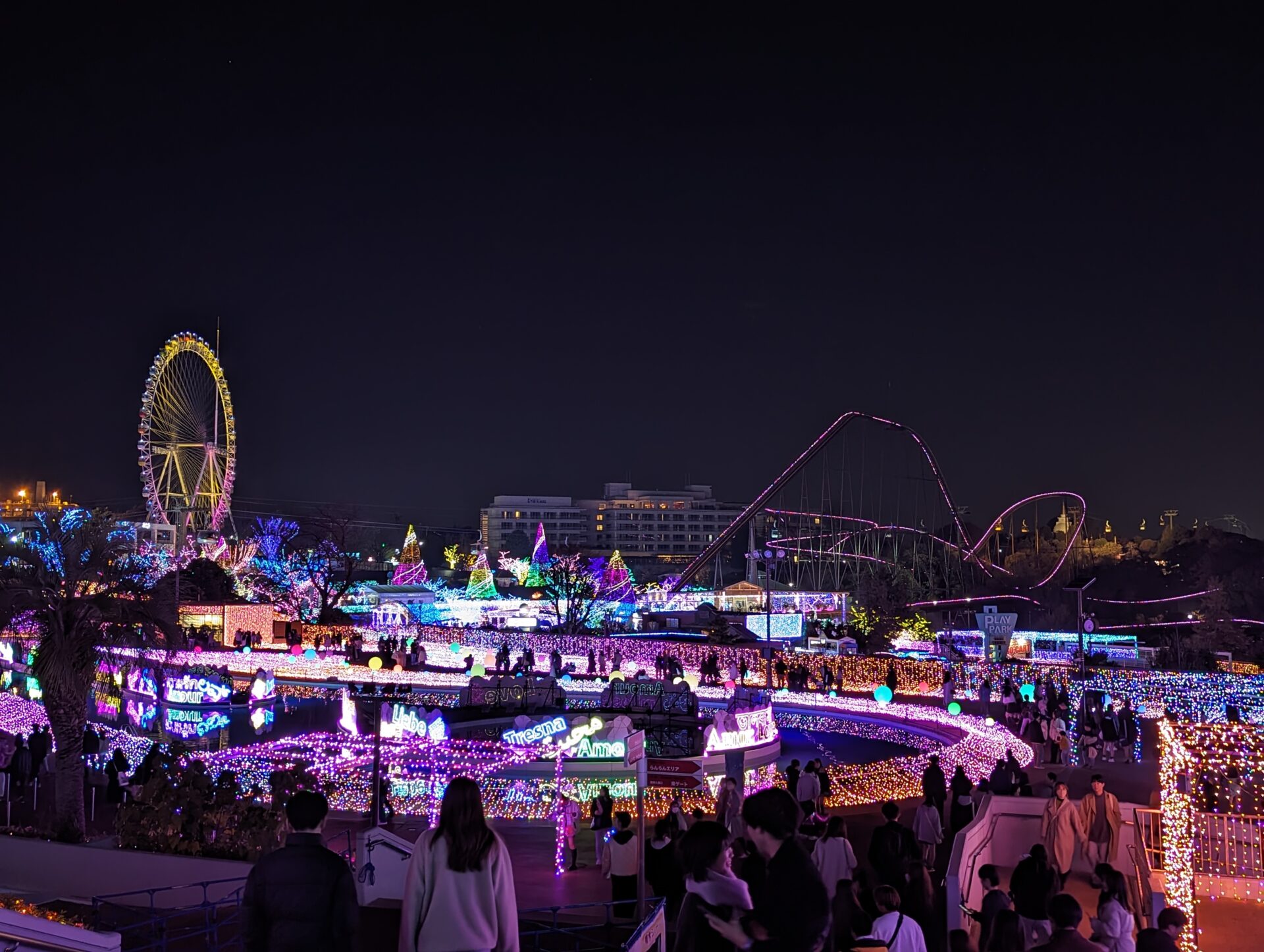 10 Events and Things to do in Tokyo in March | Japan Wonder Travel Blog