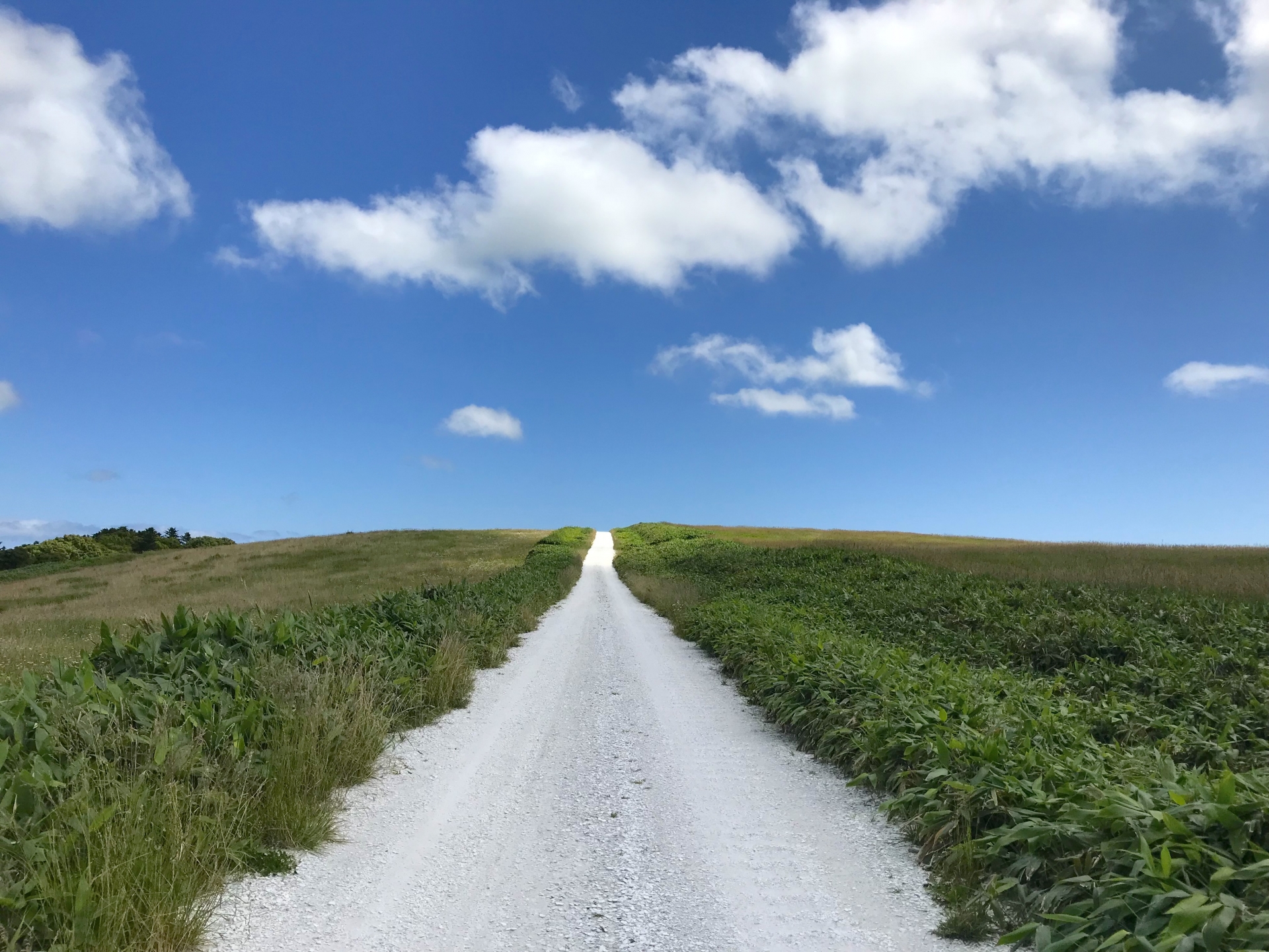 10 Best Things to do in Hokkaido in Summer 2023 | Japan Wonder Travel Blog