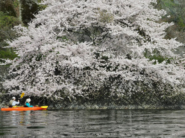 12 Best Places To Go Kayaking in Japan | Japan Wonder Travel Blog