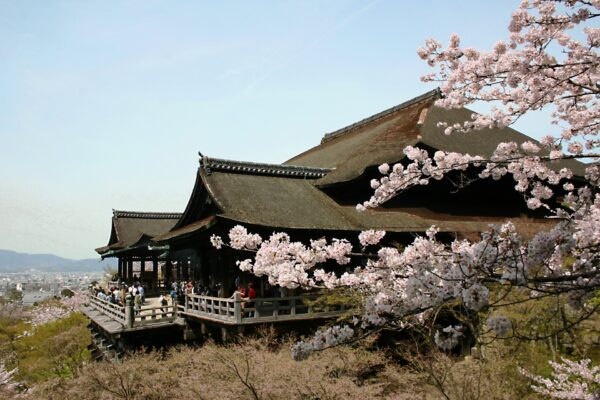 10 Best Things to Do in Kyoto in Spring | Japan Wonder Travel Blog