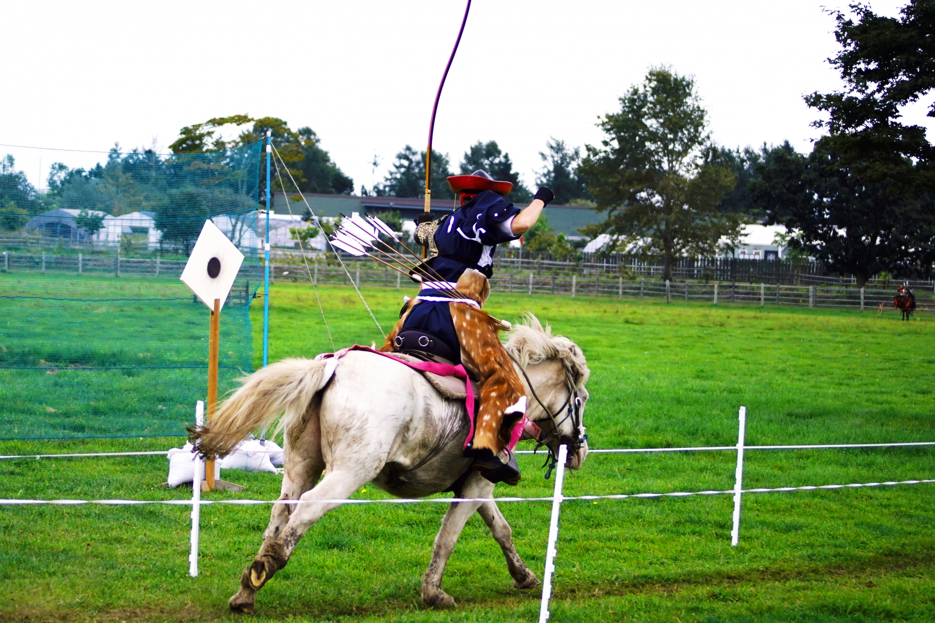 10 Unique Sports in Japan | Japan Wonder Travel Blog