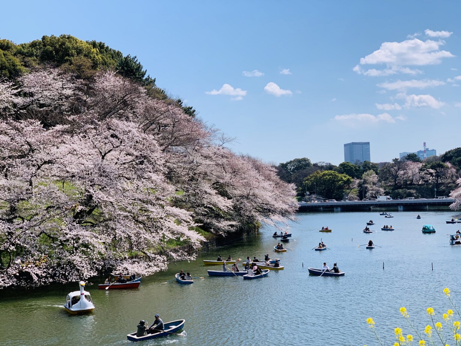 12 Best Things to do in Tokyo For Couples | Japan Wonder Travel Blog