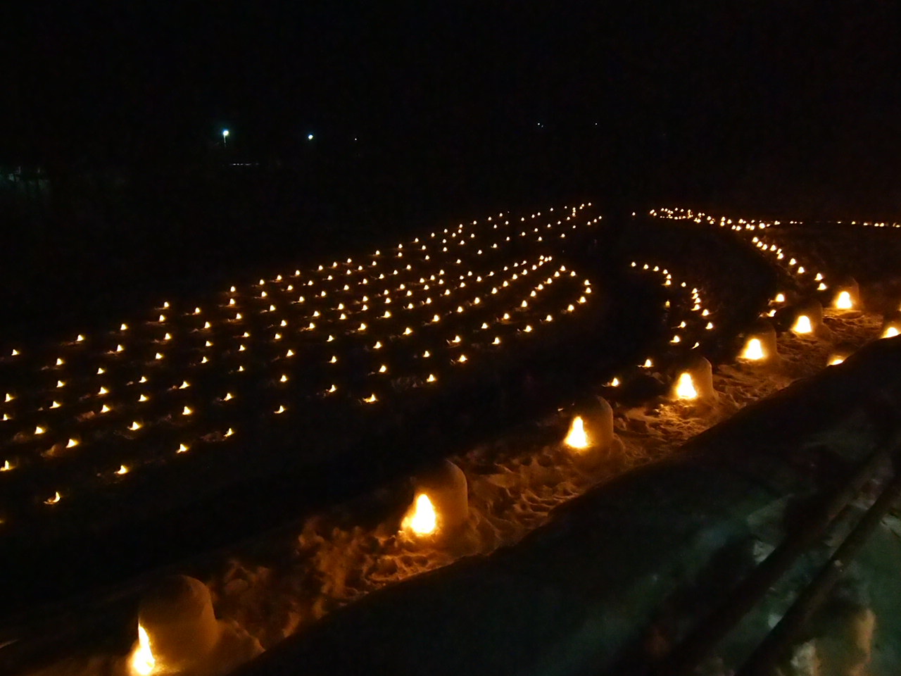 10 Events and Things to do in Japan in March | Japan Wonder Travel Blog