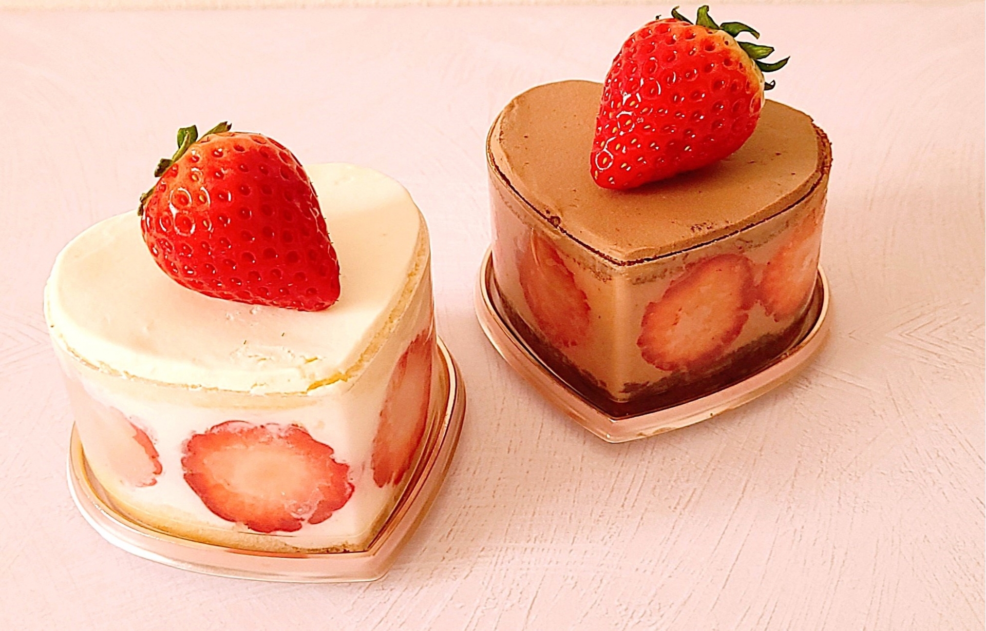 10 Events and Things to do in Japan in March | Japan Wonder Travel Blog