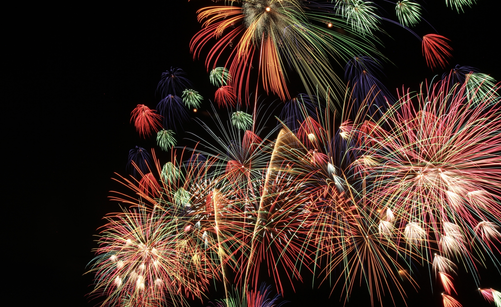 10 Events and Things to do in Japan in March | Japan Wonder Travel Blog