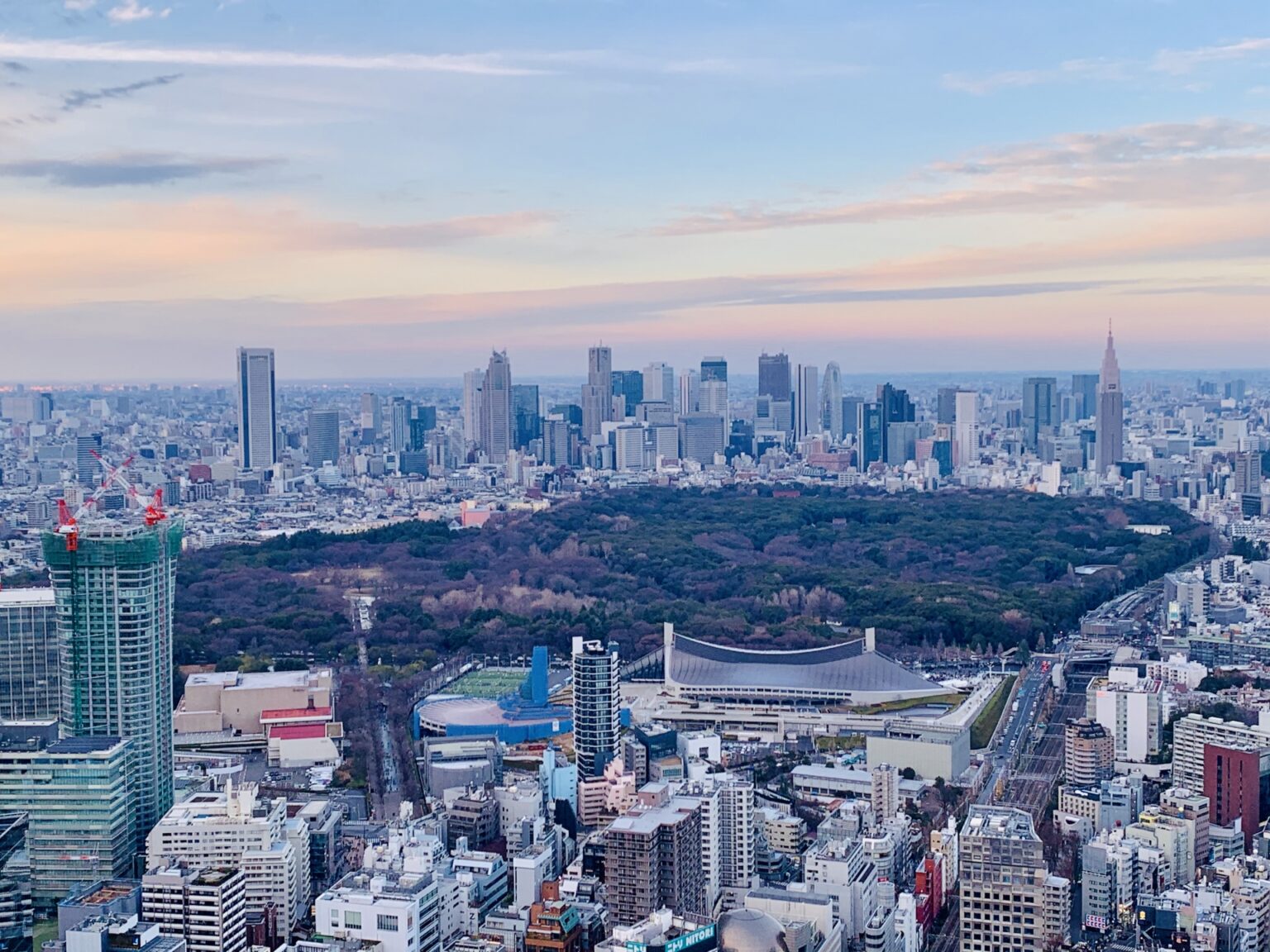 Our Ultimate Guide to Shinjuku Gyoen | Japan Wonder Travel Blog