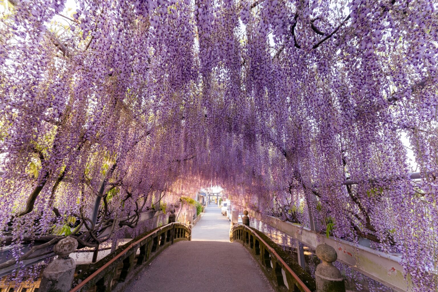 Yanagawa: The Hidden City in Kyushu | Japan Wonder Travel Blog