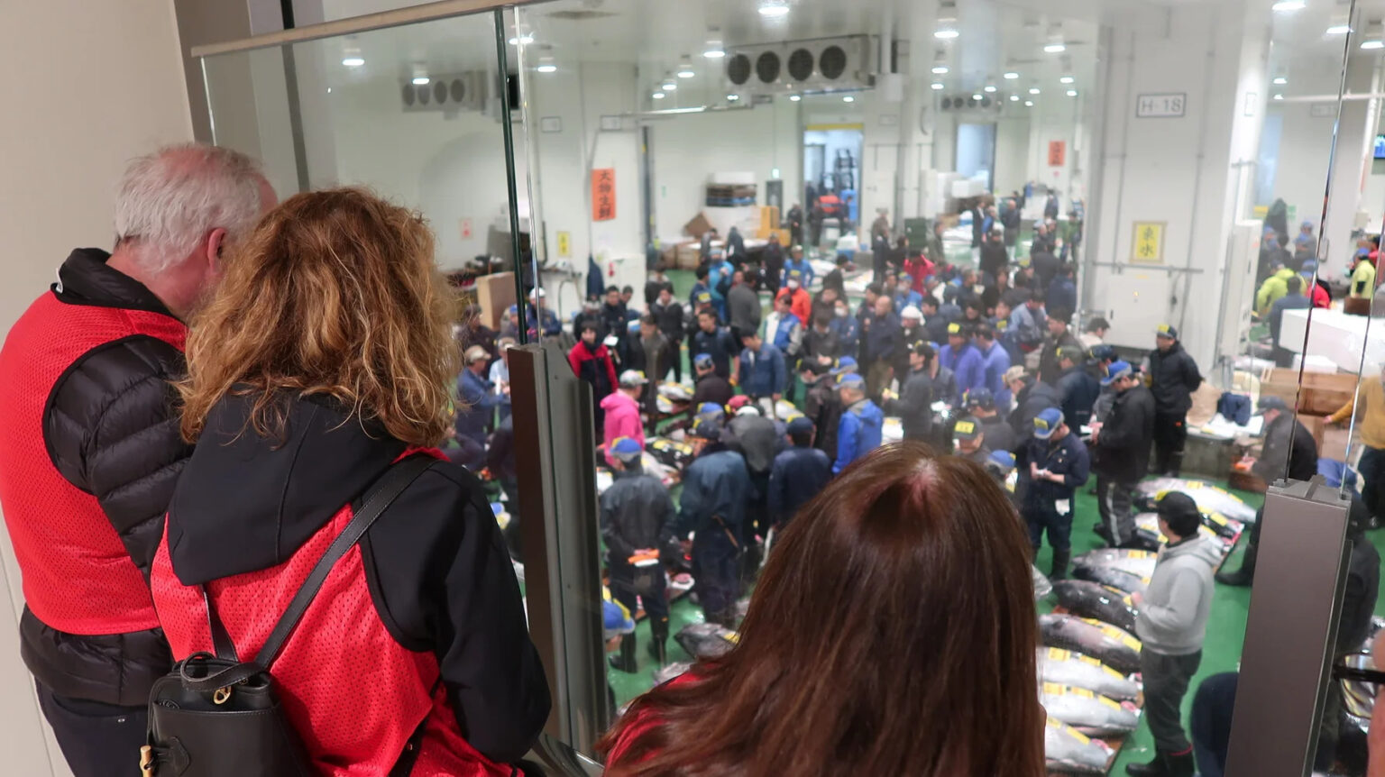 How to Apply for the Tuna Auction Tour in Toyosu Fish Market 2023 ...