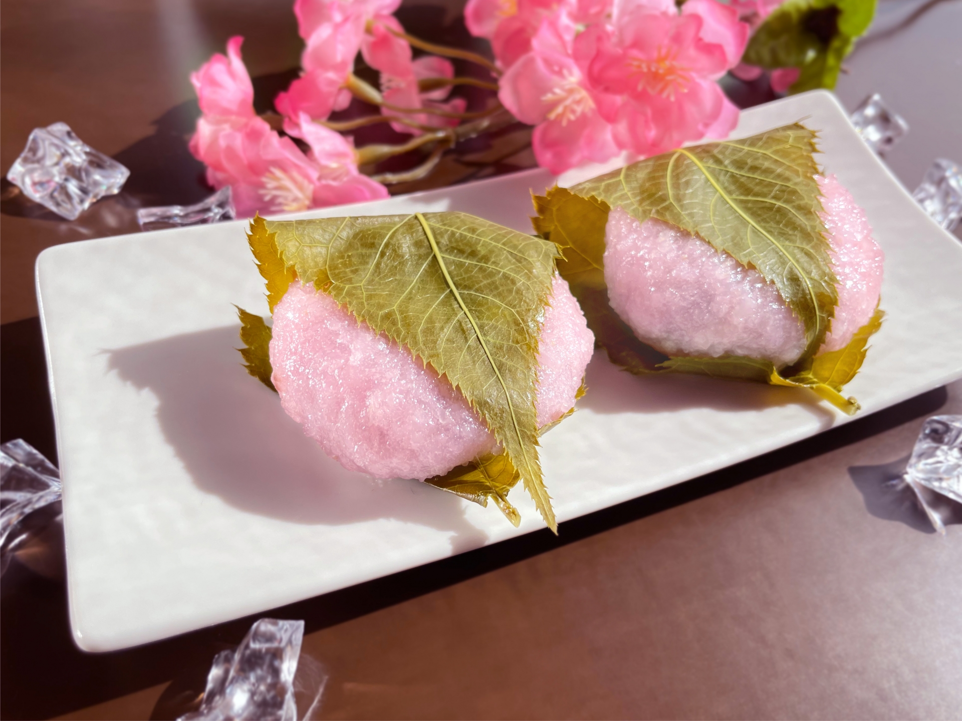 10 Events and Things to do in Japan in March | Japan Wonder Travel Blog