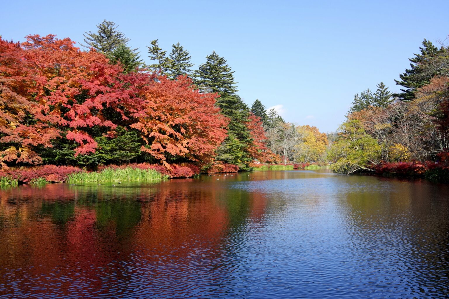 When is Silver Week in Japan? | Japan Wonder Travel Blog
