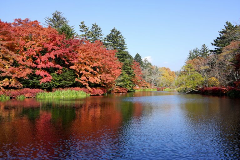 When is Silver Week in Japan? | Japan Wonder Travel Blog