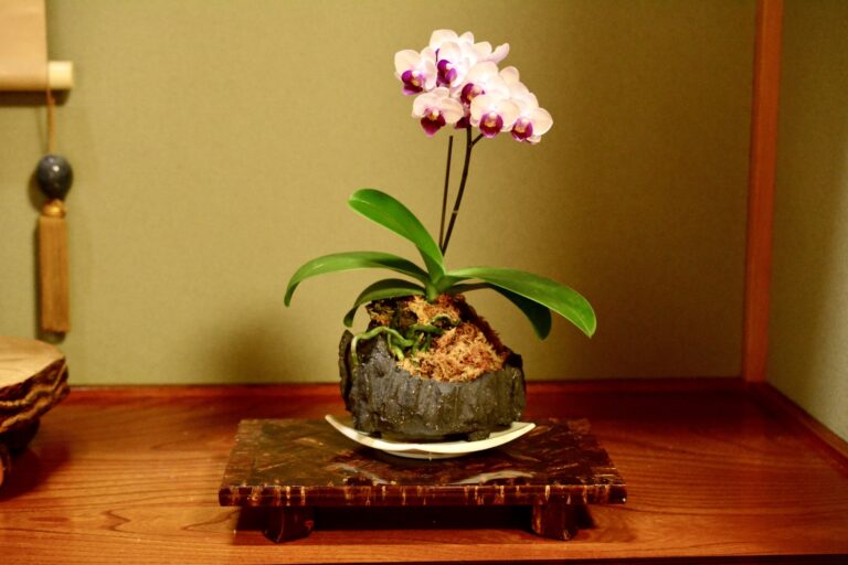 12 Japanese Art Forms: Everything You Need to Know | Japan Wonder ...