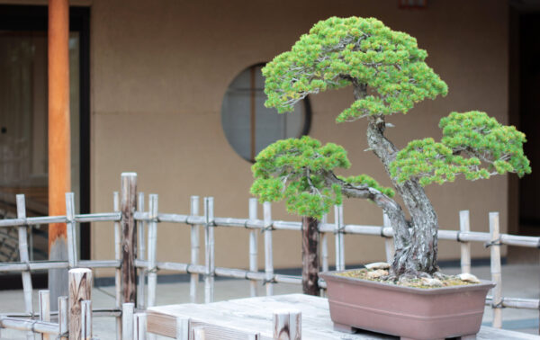 12 Japanese Art Forms: Everything You Need to Know | Japan Wonder ...
