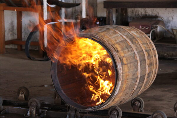 A Guide to Japanese Whiskey | Japan Wonder Travel Blog