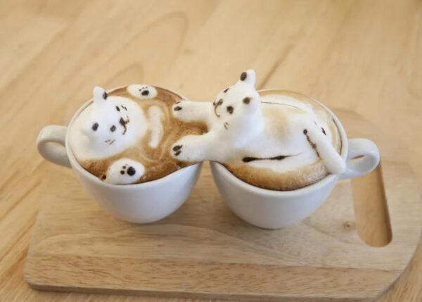 10 Instagrammable Restaurants in Tokyo | Japan Wonder Travel Blog