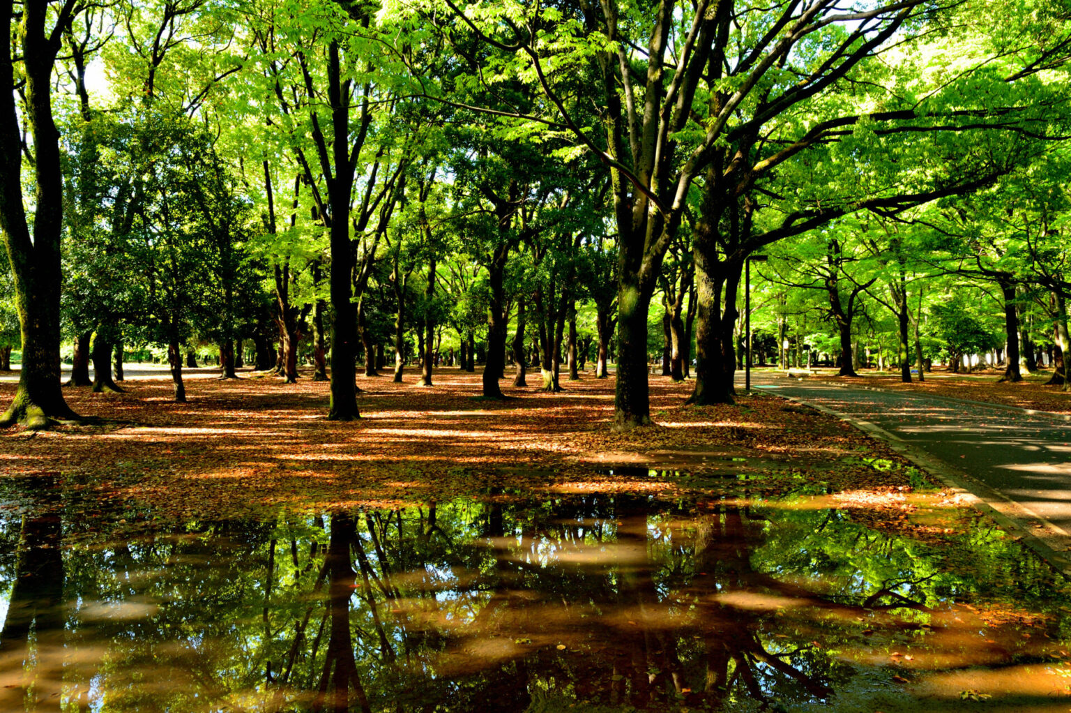 10 Things To Do in Tokyo in the Early Morning | Japan Wonder Travel Blog