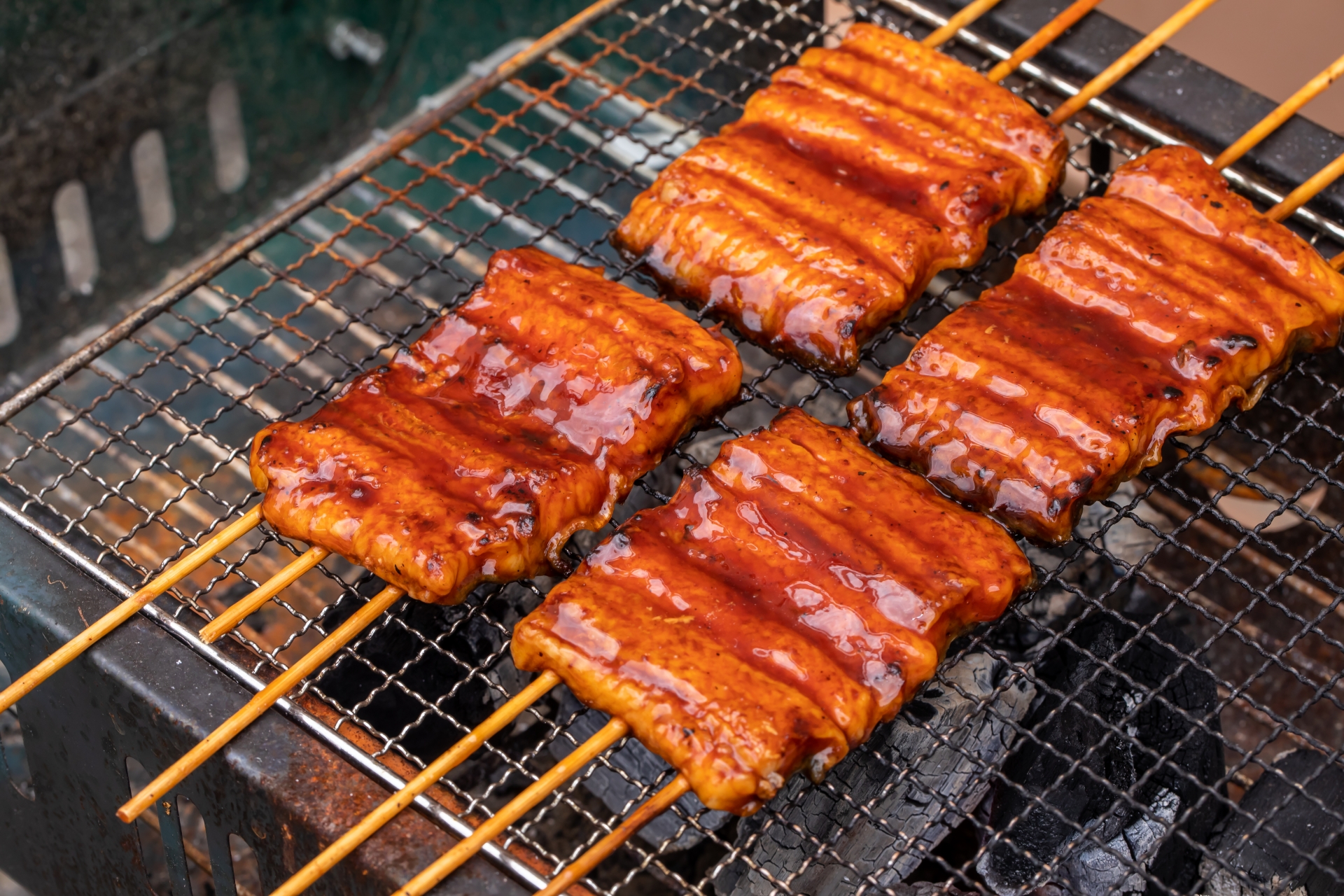 What is Unagi? Japan’s famous Eel Dish | Japan Wonder Travel Blog