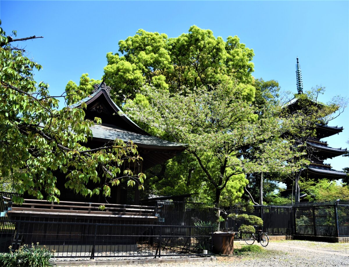 10 Famous Important Cultural Properties in Tokyo | Japan Wonder Travel Blog