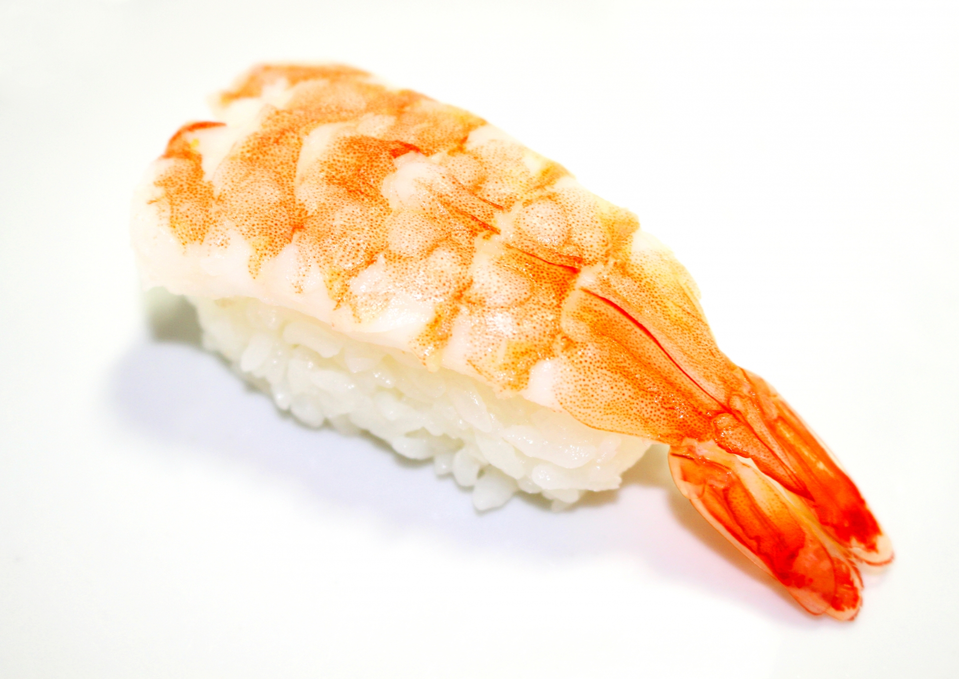 10 Types of Nigiri Sushi You Should Know | Japan Wonder Travel Blog