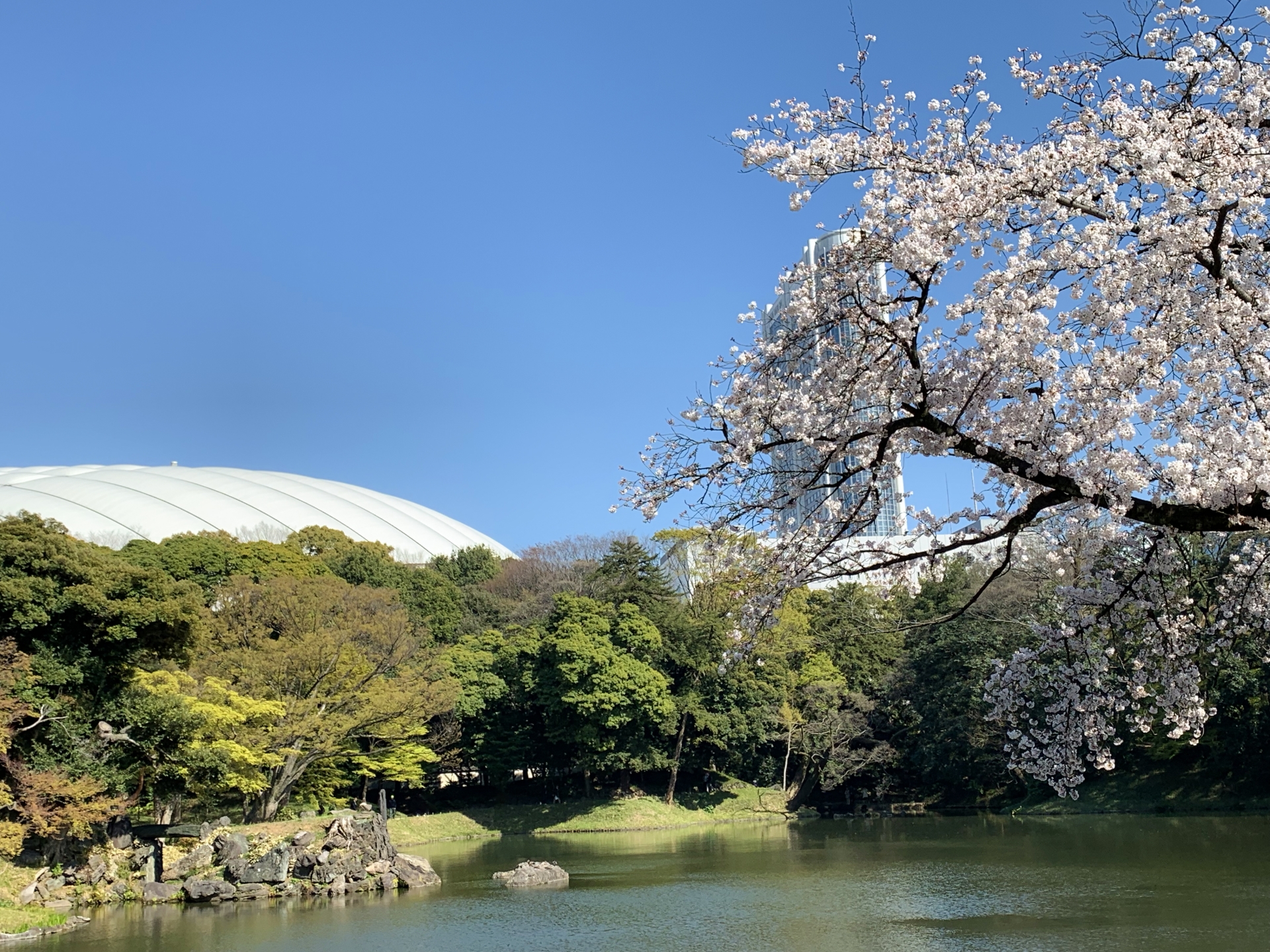 15 Hidden Gems in Tokyo That You Need to Visit | Japan Wonder Travel Blog