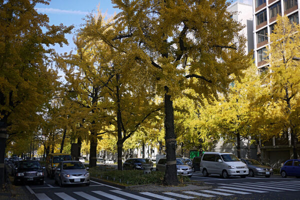 10 Best Things to Do in Osaka in Autumn 2023 | Japan Wonder Travel Blog