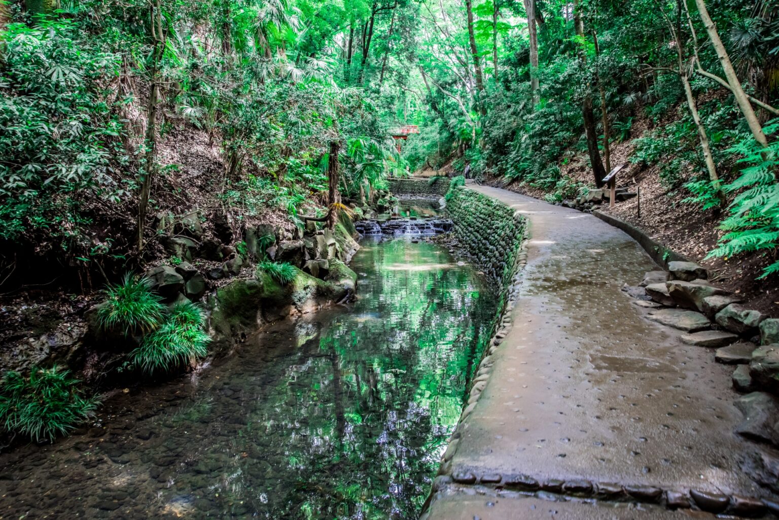 15 Hidden Gems in Tokyo That You Need to Visit | Japan Wonder Travel Blog