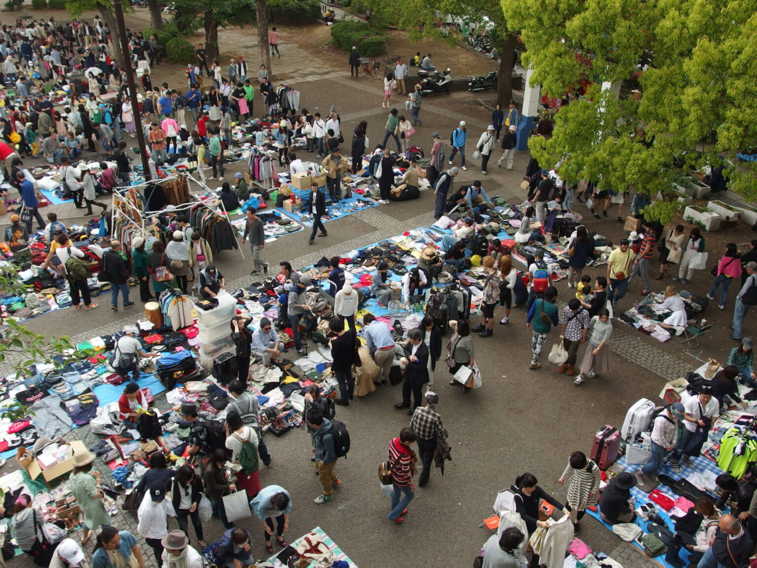 10 Events and Things to do in Tokyo in September | Japan Wonder Travel Blog