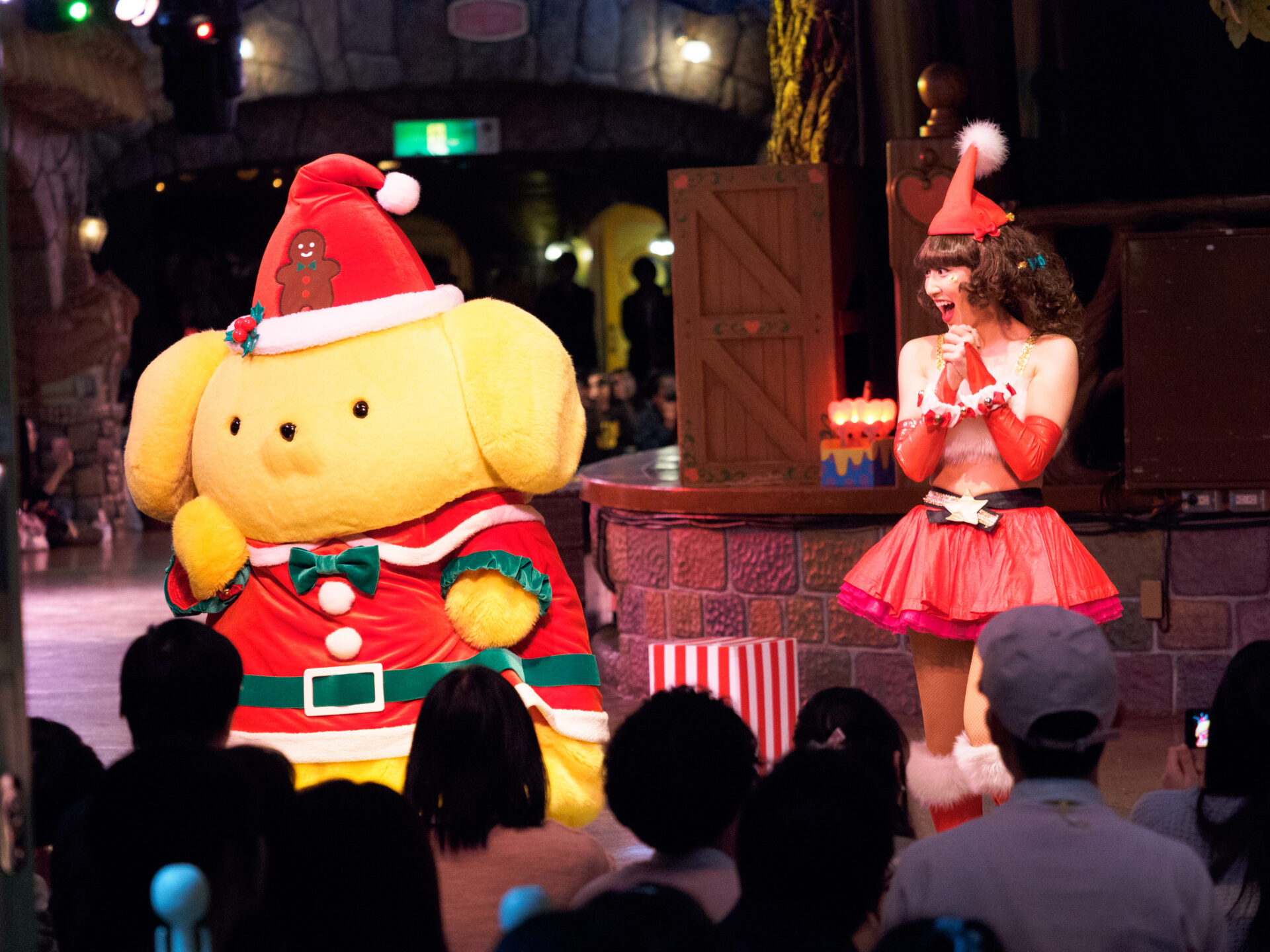 10 Events and Things to do in Tokyo in December 2023 | Japan Wonder ...