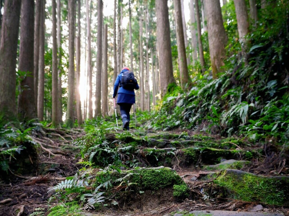 10 Best Outdoor Experiences in Japan | Japan Wonder Travel Blog