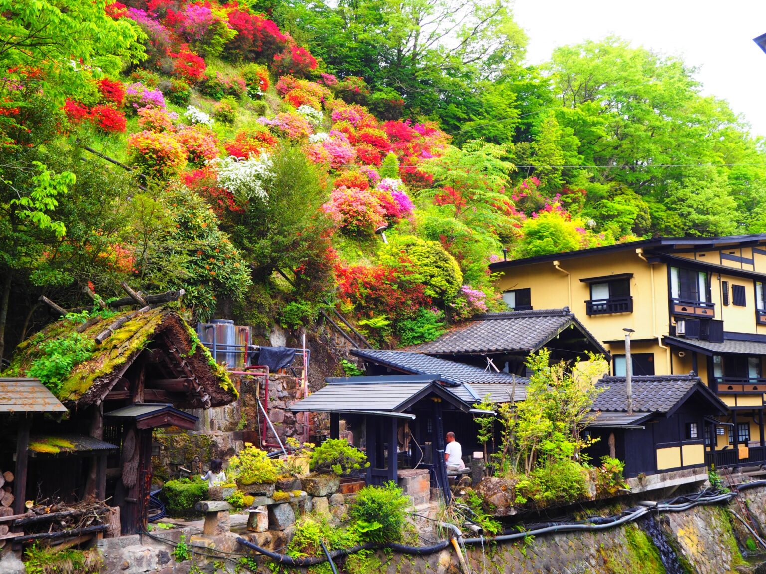 10 Iconic Traditional Onsen in Japan You Need To Visit | Japan Wonder ...