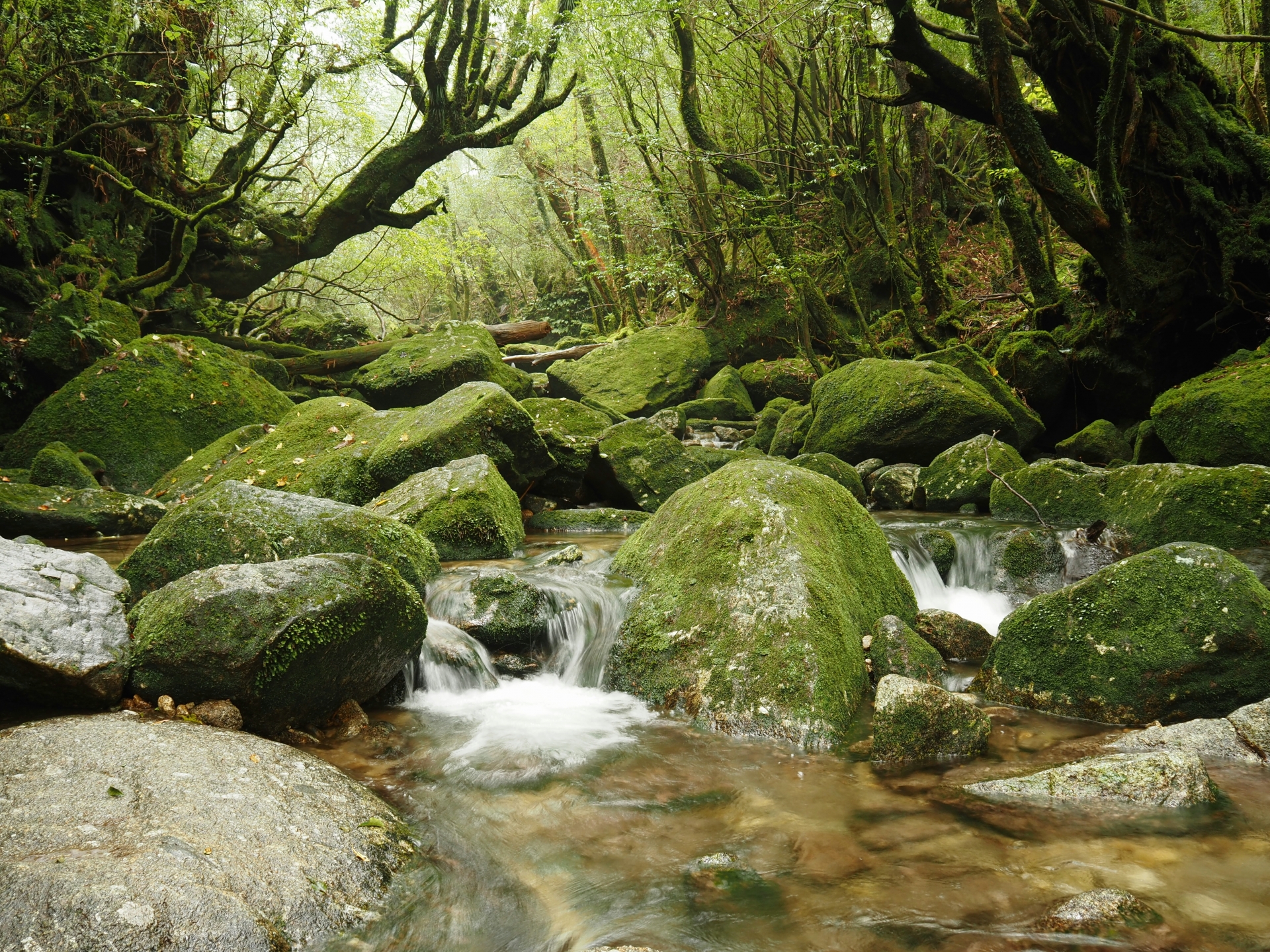 10 Best Hikes in Japan | Japan Wonder Travel Blog