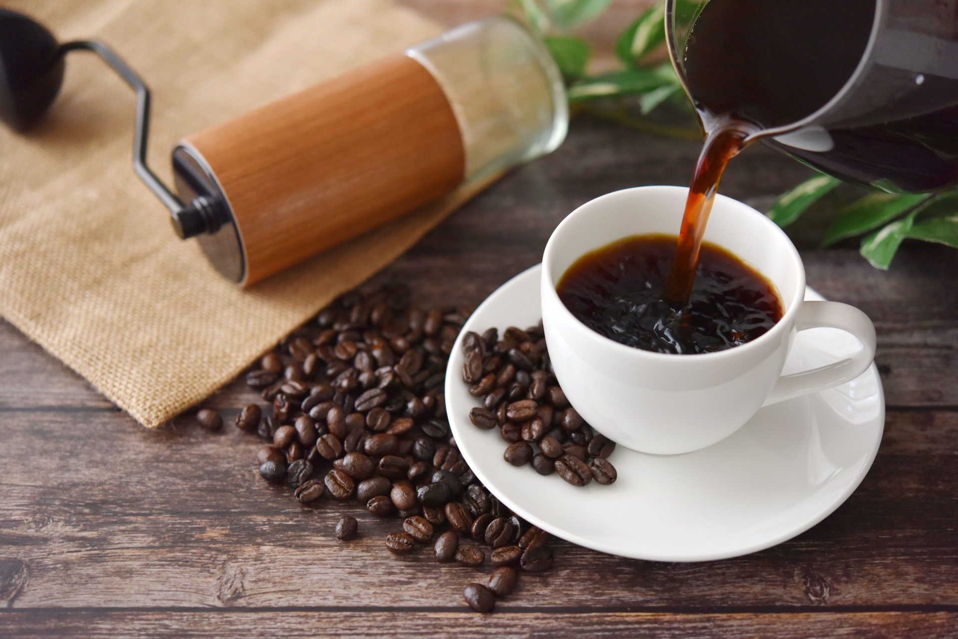 10 Fun-Facts about Japan | Japan Wonder Travel Blog