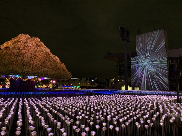 10 Best Things To do in Tokyo in January 2024 | Japan Wonder Travel Blog