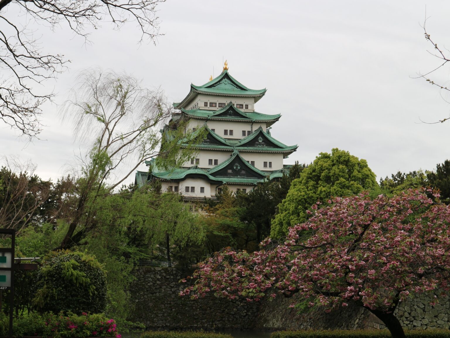 What is Unagi? Japan’s famous Eel Dish | Japan Wonder Travel Blog