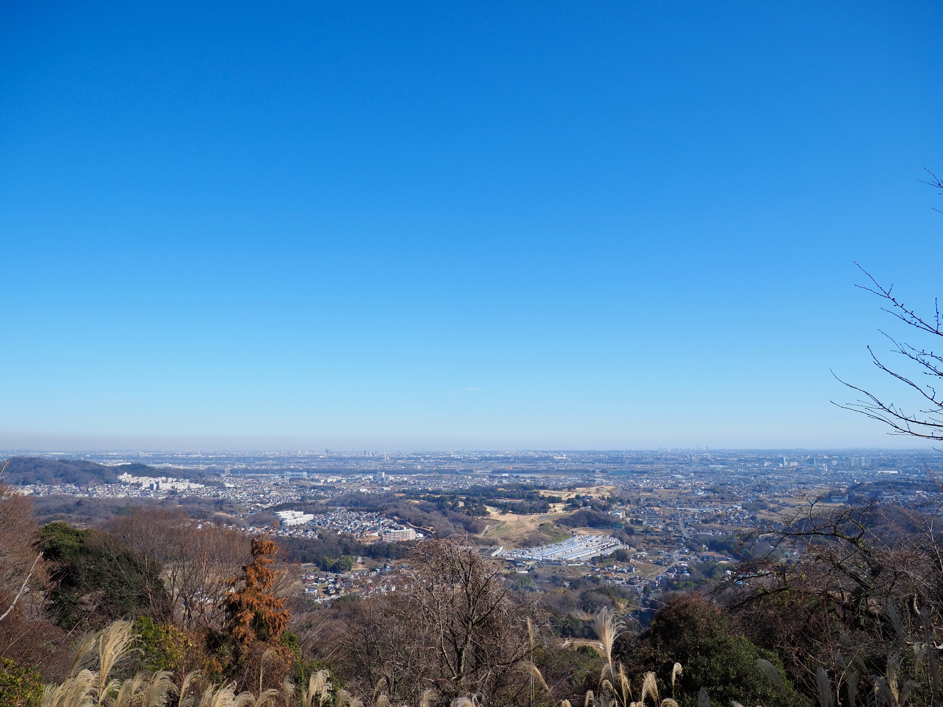 10 Best Outdoor Activities in the Tokyo Area | Japan Wonder Travel Blog