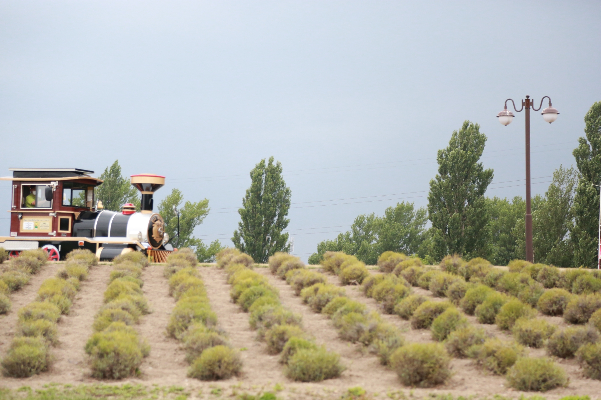 Top 10 Best Hidden Gems in Hokkaido | Japan Wonder Travel Blog