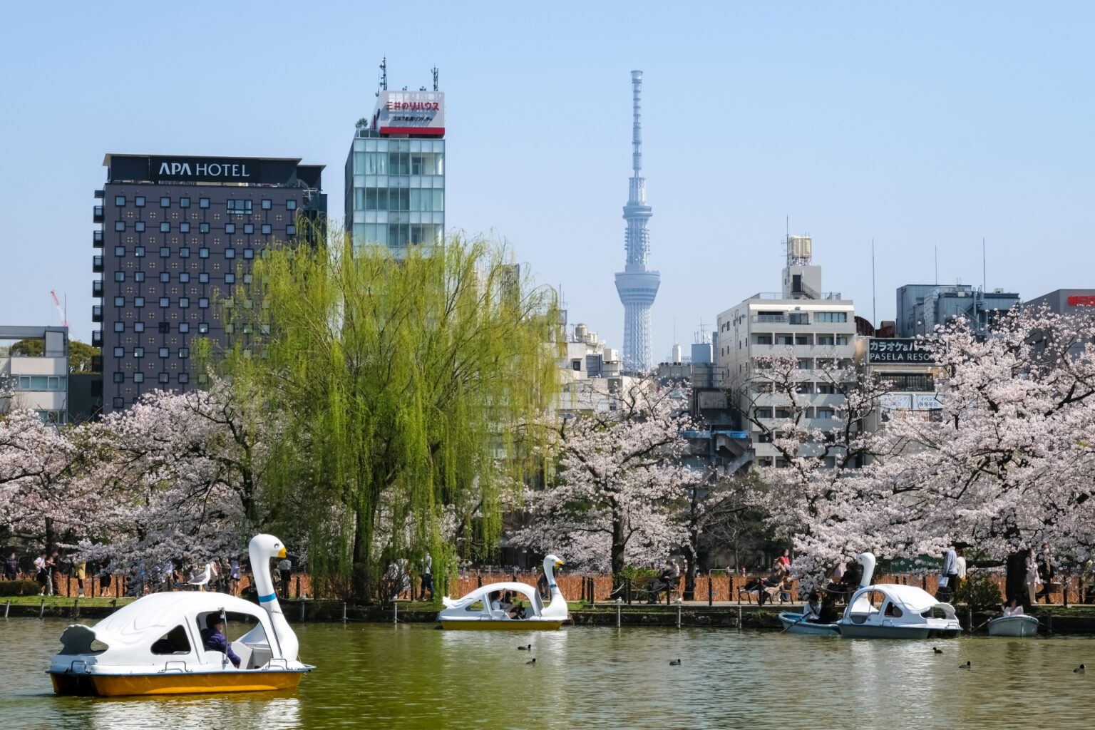 10 Best Bike Routes in Tokyo | Japan Wonder Travel Blog