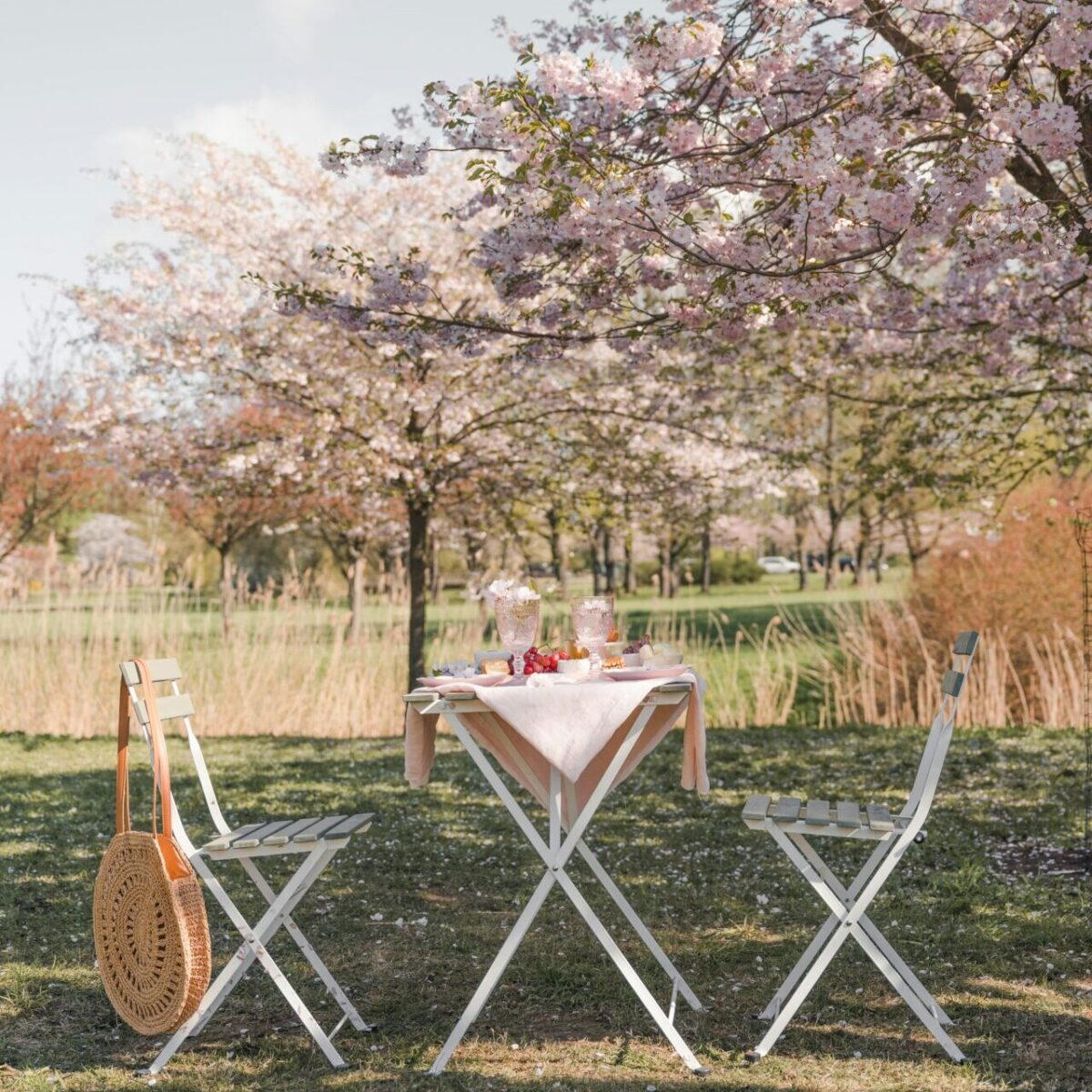 Spring in Japan: Important Things to Know for Traveling! | Japan Wonder ...