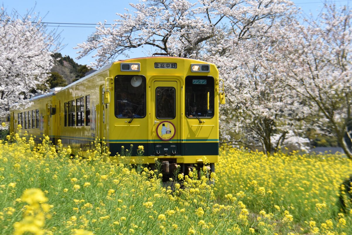 Spring in Japan: Important Things to Know for Traveling! | Japan Wonder ...