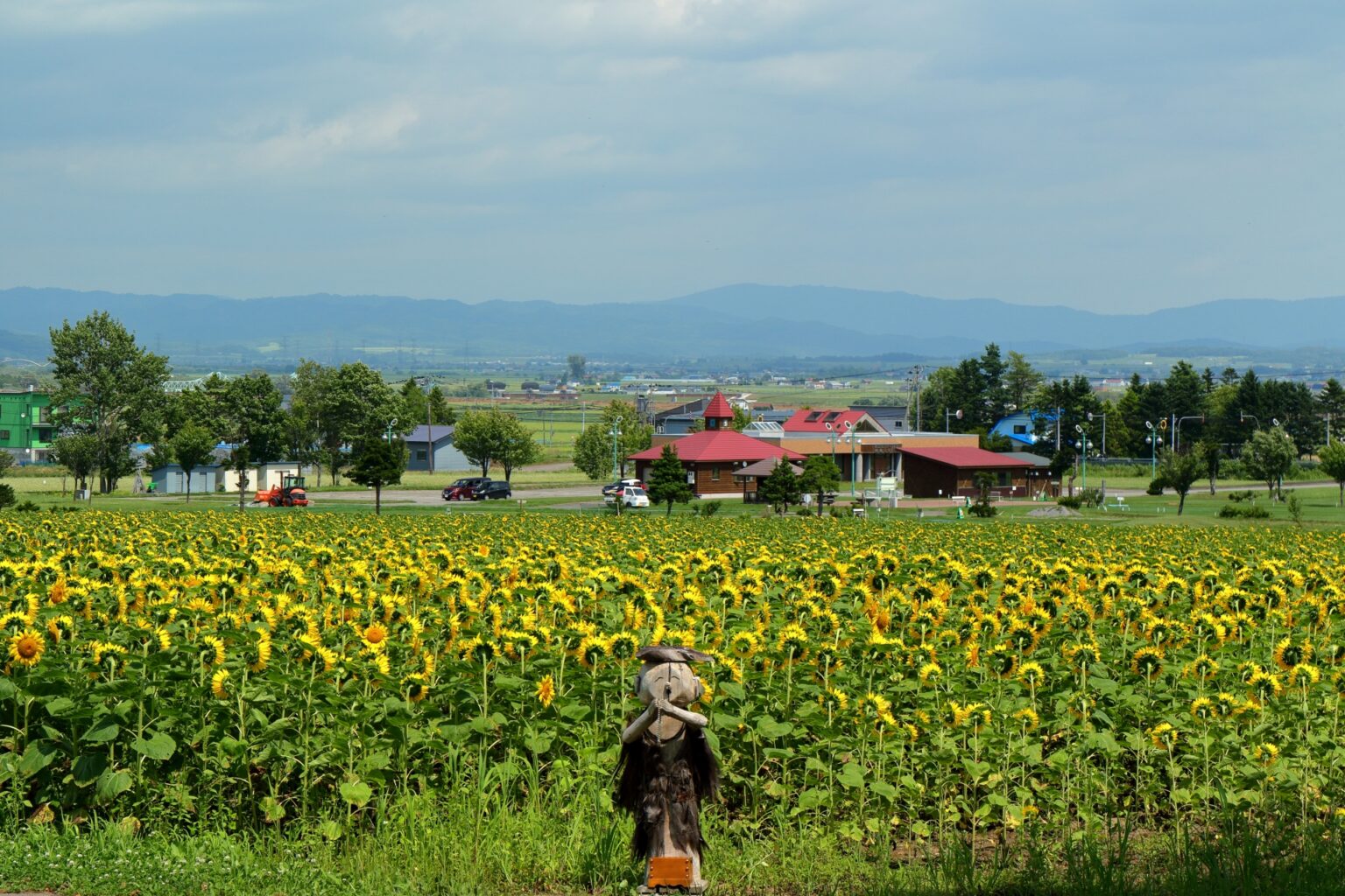 Iconic Photo Spots in Hokkaido | Japan Wonder Travel Blog