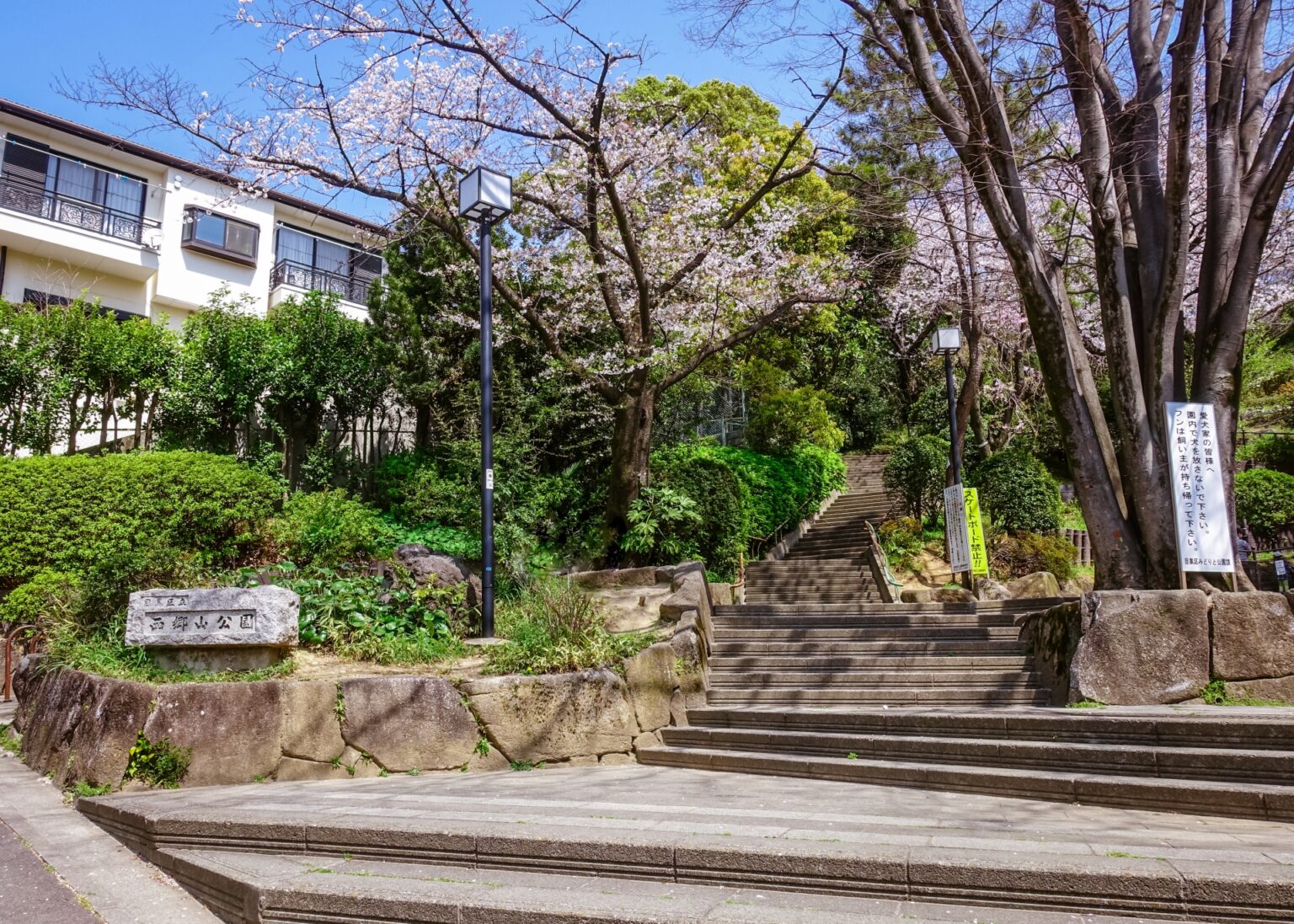 10 Best Things to do in Meguro in Tokyo | Japan Wonder Travel Blog