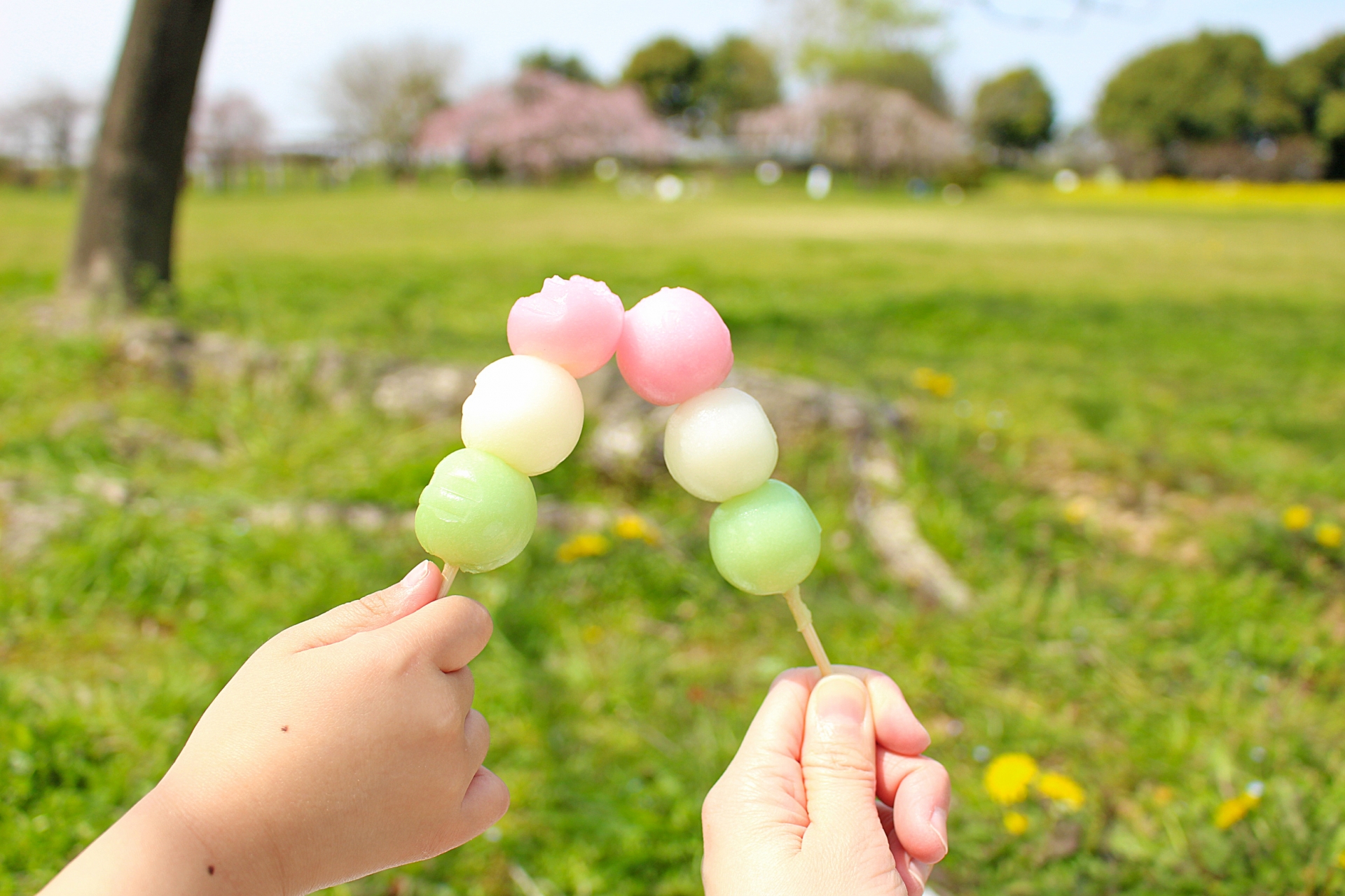 15 Events and Things to do in Japan in April 2024 | Japan Wonder Travel ...